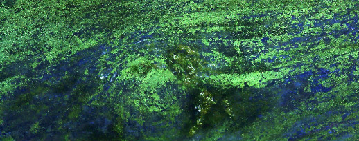 Moje psychologické testy :: PatryCzech